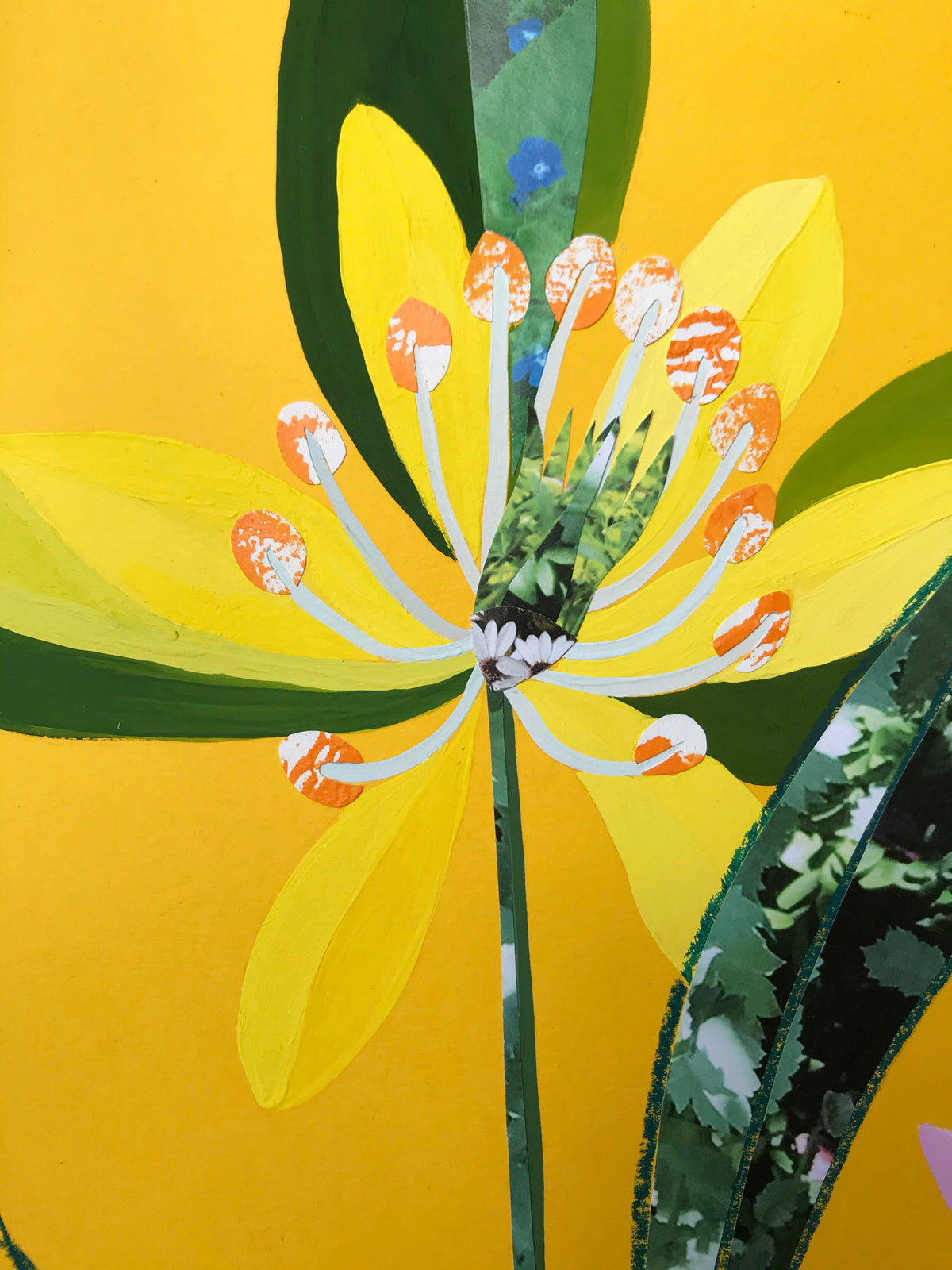 Lucie Ailsa - Colourful Art Prints & Original Artworks For Your Home